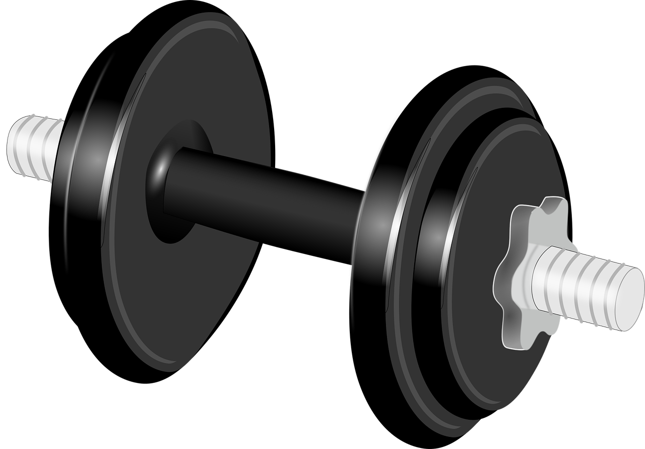 Strength Exercises for Weight Loss: Build Muscle and Burn Fat in 2025 ...